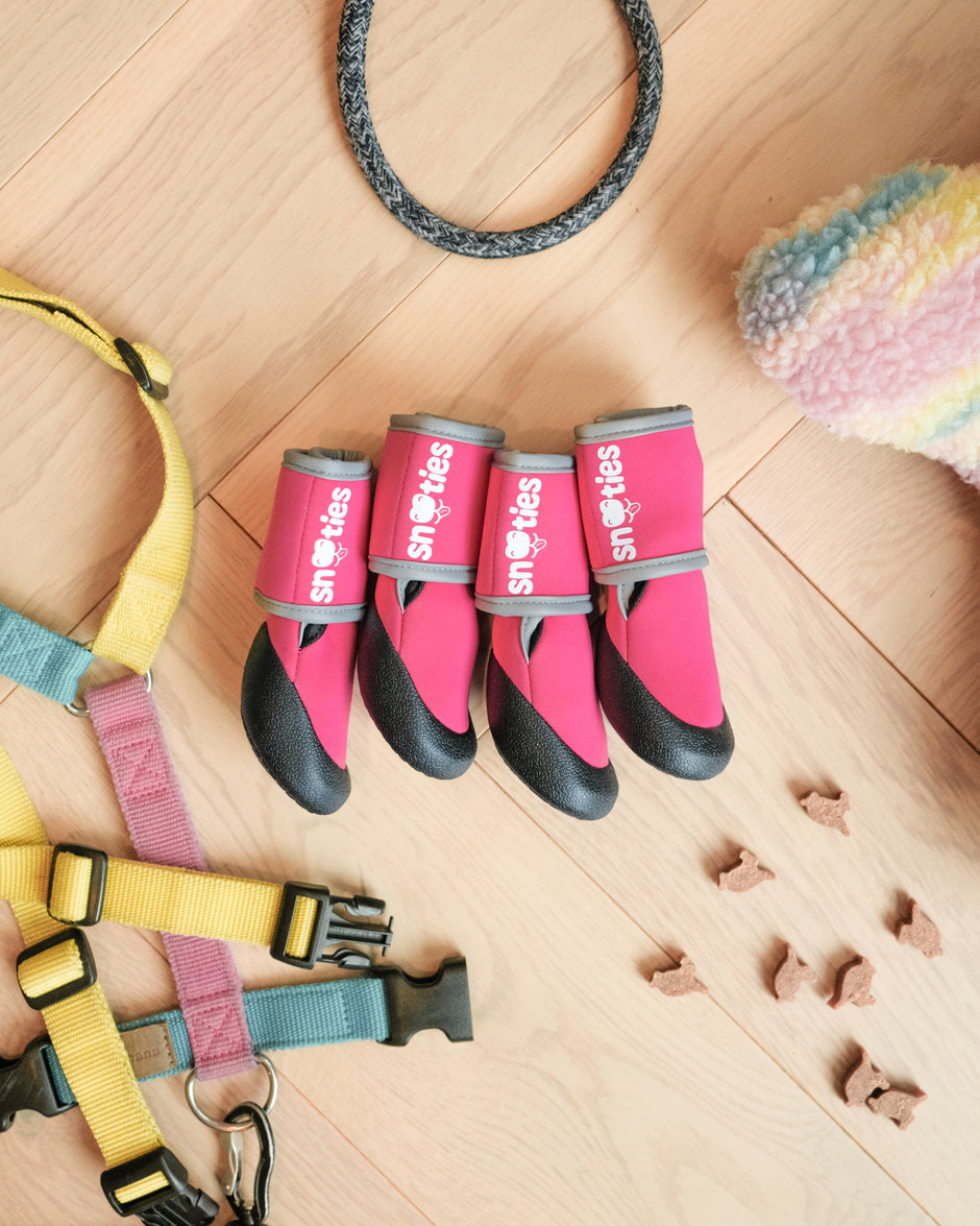 Snooties Booties: Shop Dog Boots Australia